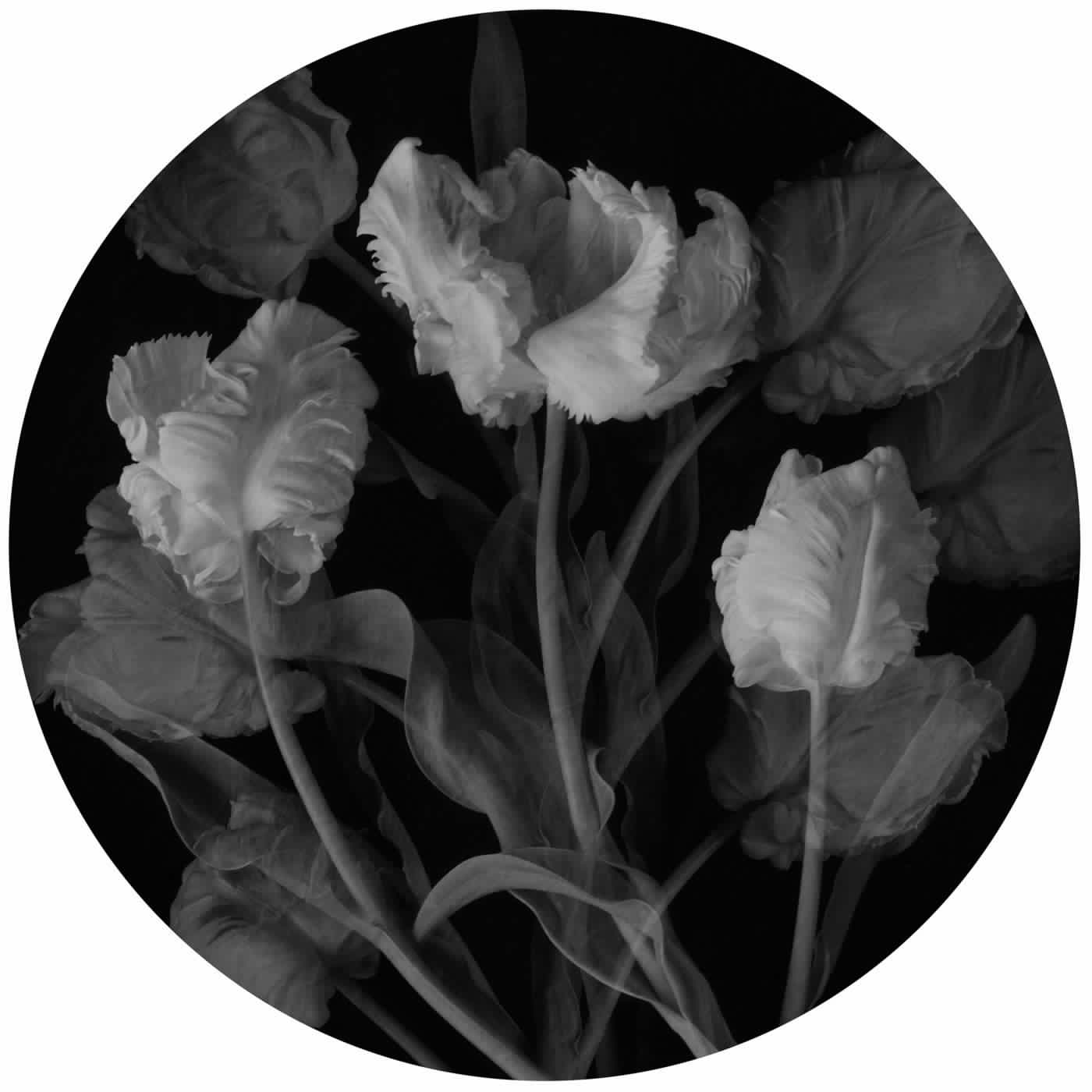 Grand Master Series – ClickHappy